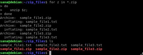 Simultaneously Unzip Or Unrar Multiple Files In Debian 10 Vitux