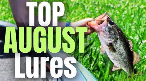 Bass Cant Resist These August Lures Youtube