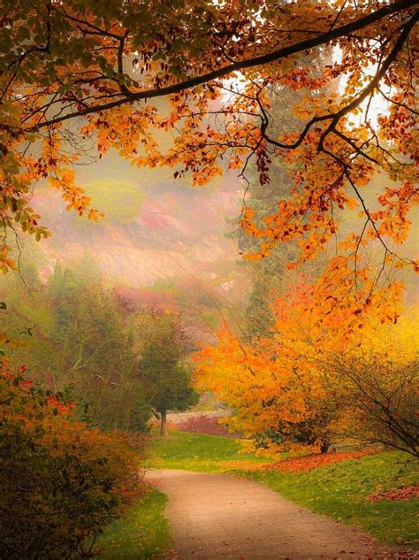 Most Beautiful Autumn Scenes