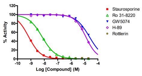 Cdk2 Cyclin E Kinase Assay Service Reaction Biology