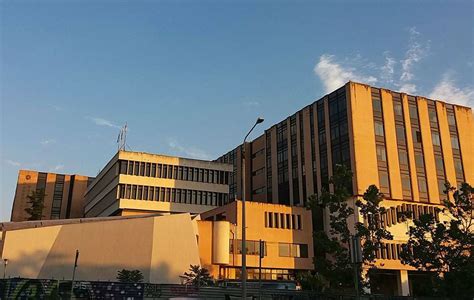 Πανεπιστήμιο Μακεδονίας