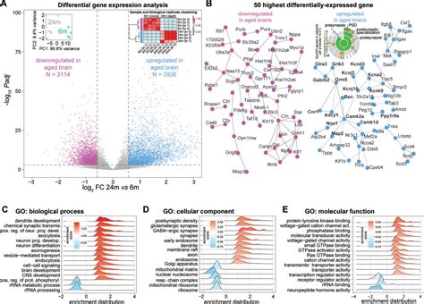 Figure 1 From Comprehensive Transcriptome Analysis Reveals Altered Mrna