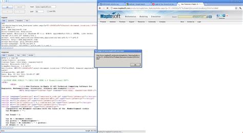Xss Reflected Cross Site Scripting Cwe 79 Capec 86 Dork Ghdb Bhdb