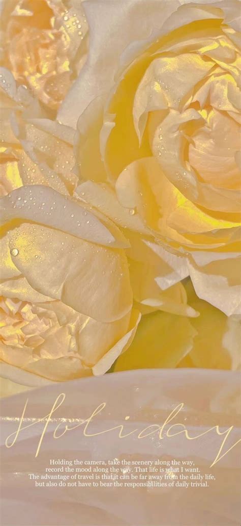 Aesthetic Yellow Yellow Aesthetic Pastel Iphone Wallpaper Yellow