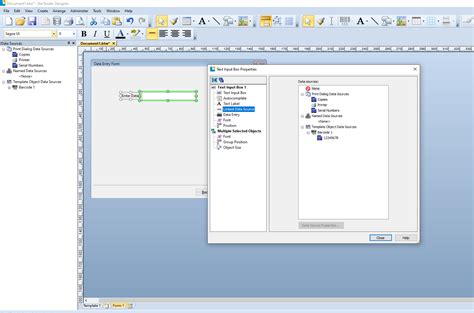 Input Control Not Linked To Data Source Error 2570 Seagull Support