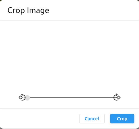 Unsupported Operation Namespace Getting This Error On Web · Issue 335 · Hnvnflutterimage