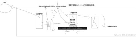 Linux 进程控制：创建、终止、等待与程序替换全解析linux Fork 进程控制 Csdn博客