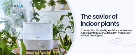 Humidifiers For Bedroom 40l Humidifier For Home Cool