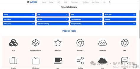 Sap 免费学习网站推荐sap学习网站 Csdn博客