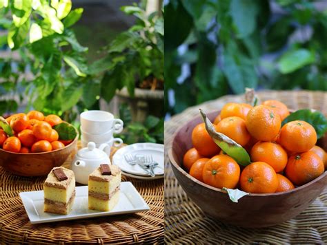 کمپین اطلاع رسانی و پیشگیری از سرطان نخستین فردی که به طور قطعی از بیماری ایدز درمان یافت آیا