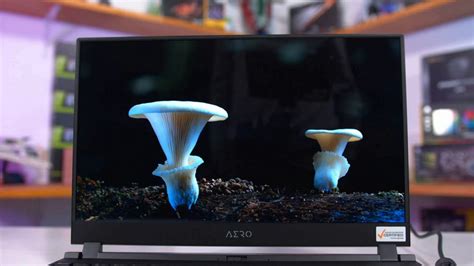 How To Check If Screen Is Oled Kelai