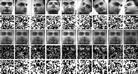 Removal Of The Gaussian Noise From The Query Set By Elrr Top Row 9 Download Scientific