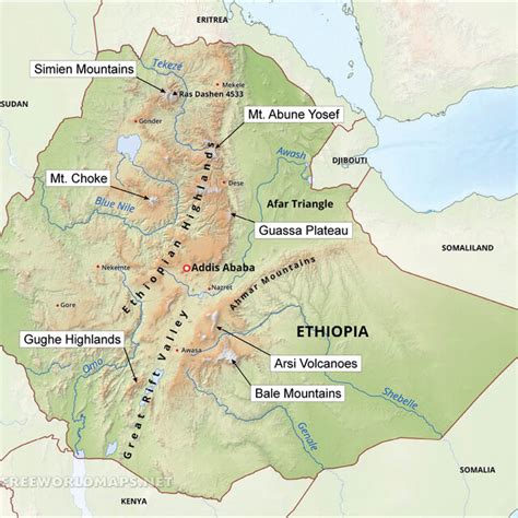 Subtree Of The Ultrametric Time Calibrated Phylogeny Of Trechini Download Scientific Diagram