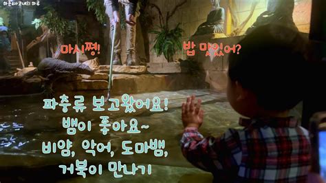 파충류관에 갔는데 뱀을 너무 좋아한다 브런치먹고 뱀 악어 도마뱀 이구아나 보러가기 Youtube
