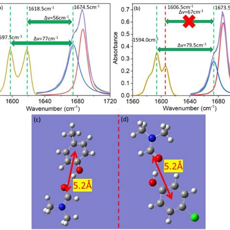Linear Ir Spectra Of Amide I Dimethylformamide And The Cc Mode Of A Download Scientific
