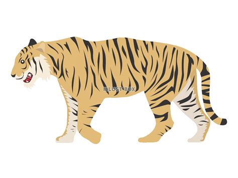 【無料ダウンロード】 虎 イラスト フリー ~ 無料の印刷可能なイラスト画像