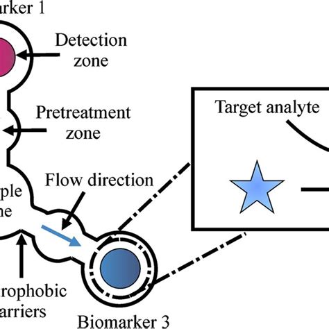 Schematic Illustration Of The Colorimetric Paper Based Device For The Download Scientific