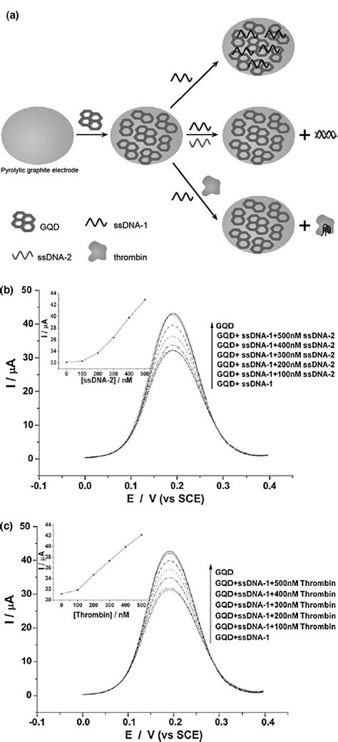 A Schematic Illustration Of Different Kinds Of Gqd Based Download Scientific Diagram