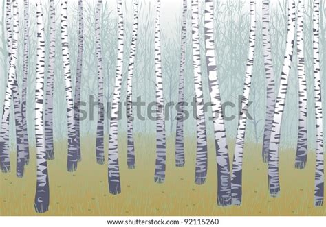 Vector Birch Tree Painting Images Stock Photos D Objects Vectors Shutterstock