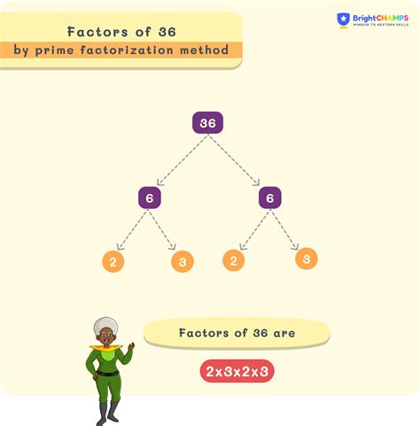 Factors Of 36 How To Find The Factors Of 36 🔢