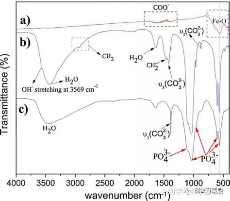 红外光谱—专项文献阅读 知乎