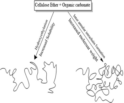 Modification Of Cellulose Ether With Organic Carbonate For Enhanced