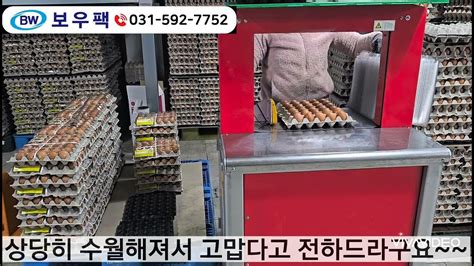 계란밴딩기 대만산밴딩기 묶음계란 포장 고속형밴딩기 판란밴딩기타사밴딩기수리 Youtube
