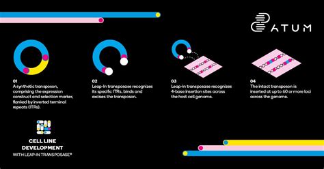 Atum On Linkedin Cell Line Development With Leap In Transposases ® And Synthetic Transposons