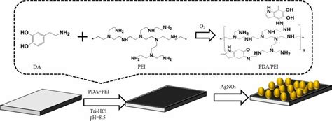 Schematic Illustration Of Cta Membrane Modification By Coating