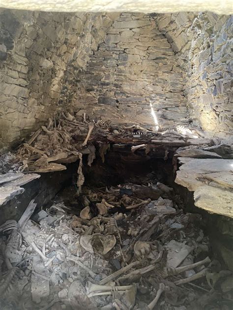 2 დღიანი ტური ხევსურეთში შატილი მუცო არდოტი ხევსურეთი შატილი 110 Gel Wild Georgia