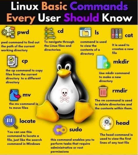 Pin De Ник Подрывник En Programmings Programación De Ordenadores Lenguaje De Programacion