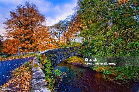 월든 벡 웨스트 버튼 요크셔 데일스 국립공원 노스요크셔 잉글랜드 영국을 가로지르는 고대 전통 석조 팩호스 브리지 젖은에 대한 스톡 사진 및 기타 이미지 Istock