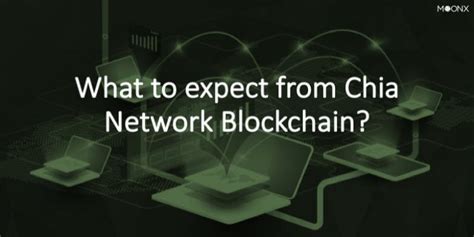 What To Expect From Chia Network Blockchain Coin Explorers