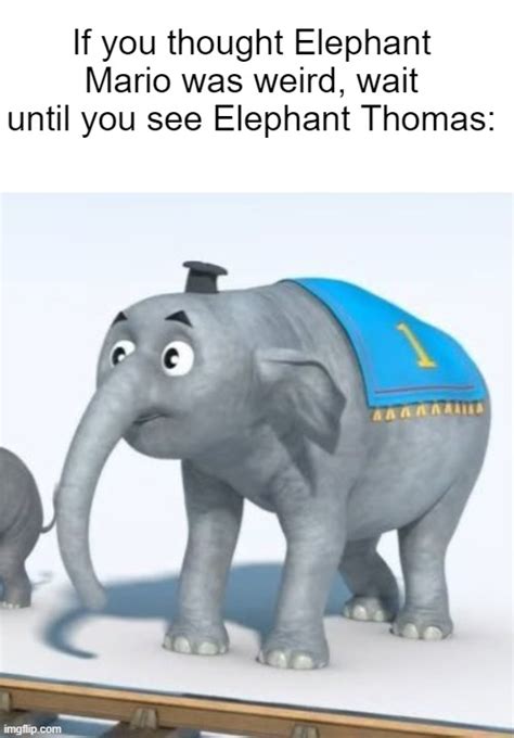 Funny Elephant Meme
