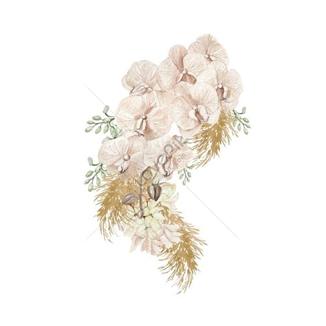 Boho 말린 꽃과 잎 수채화 꽃다발 Boho 말린 꽃과 잎 그림 수채화 꽃다발 Photo 사진 무료 다운로드 Lovepik