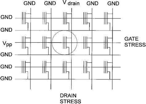 programming disturbs download scientific diagram