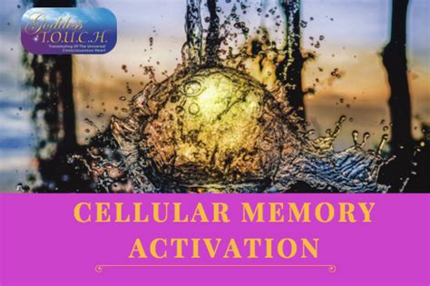 Celullar Memory Activation Goddess T O U C H