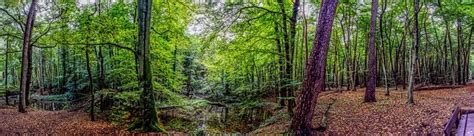 Webui Mobile First Css