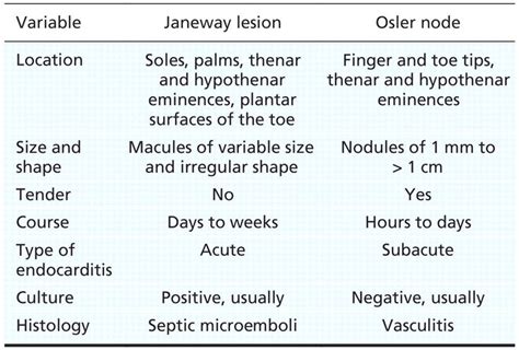 Image Result For Osler Nodes Nursing Tips Medical Anatomy Janeway