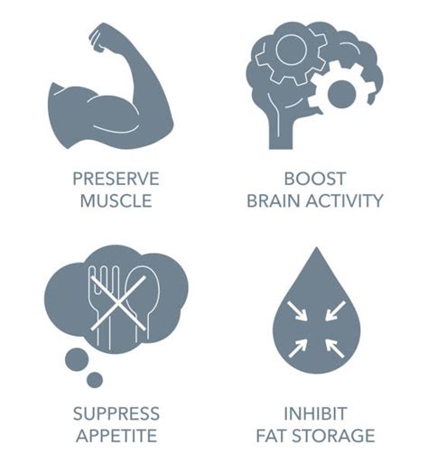 40 Immune Suppression Stock Illustrations Royalty Free Vector
