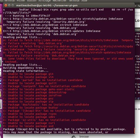 Error While Trying To Create The Lora Server Raspberry Pi Image Setup And Configuration