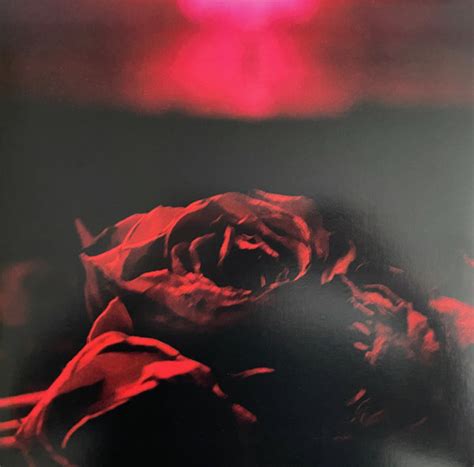The Paper Kites Roses Vinyl Cherry Bomb Lp Album Limited
