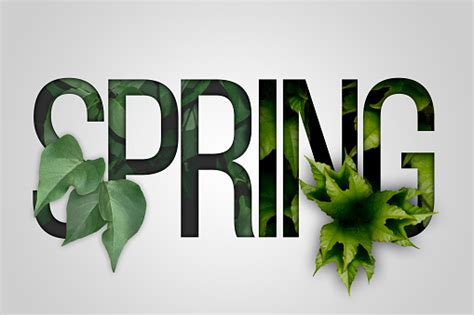 스프링 레터링 현대 텍스트와 창조적 인 타이포 그래피 녹색 잎 자연 개념 디자인입니다 티셔츠 배지 스티커 인사말 카드 배너 포스터 및 전단지 용 디자인 인쇄 0명에 대한