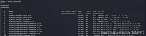 metasploit（超详细）命令 metasploit命令 csdn博客