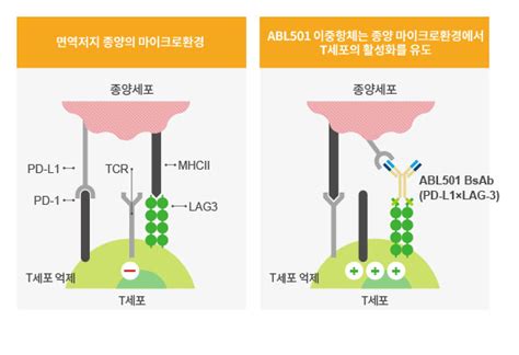 Abl Bio