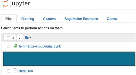 Python How To Run A Jupyter Notebook Programmatically Inside A Sagemaker Notebook From A