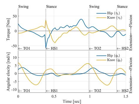 Joint Angular Velocities And Torques Of A Healthy Male Walking On The Download Scientific