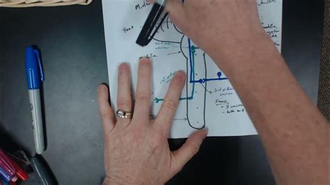 Somatosensory Tracts 1 Youtube