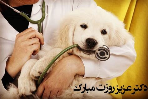 پیام تبریک روز جهانی دامپزشکی عاشقانه و رسمی متن تشکر از دامپزشک
