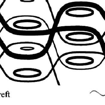 Example Of Complex Layer Interlock Weave Download Scientific Diagram